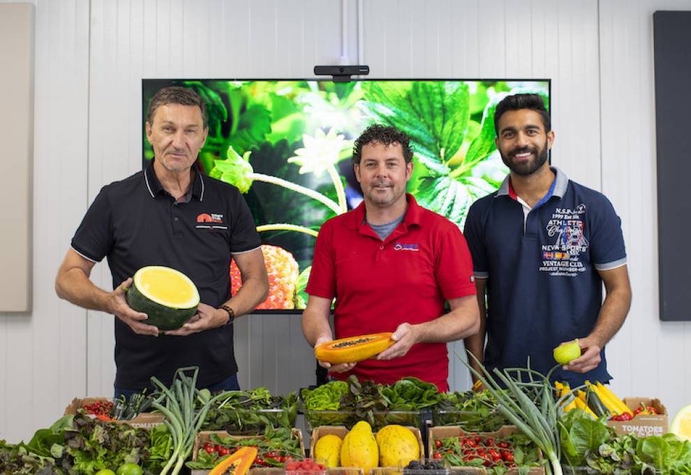 Greenhouse technology outpaces Ontario’s infrastructure capacity | The ...